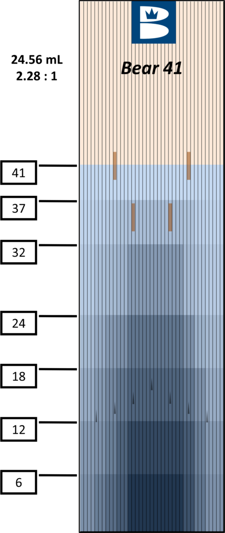 How to Play the PBA Bear Pattern (41): Step-by-Step Bowling Guide