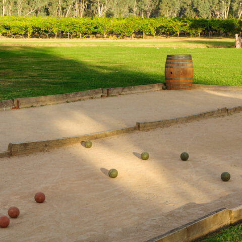 Lawn Bowling vs Bocce: The Comparison Guide